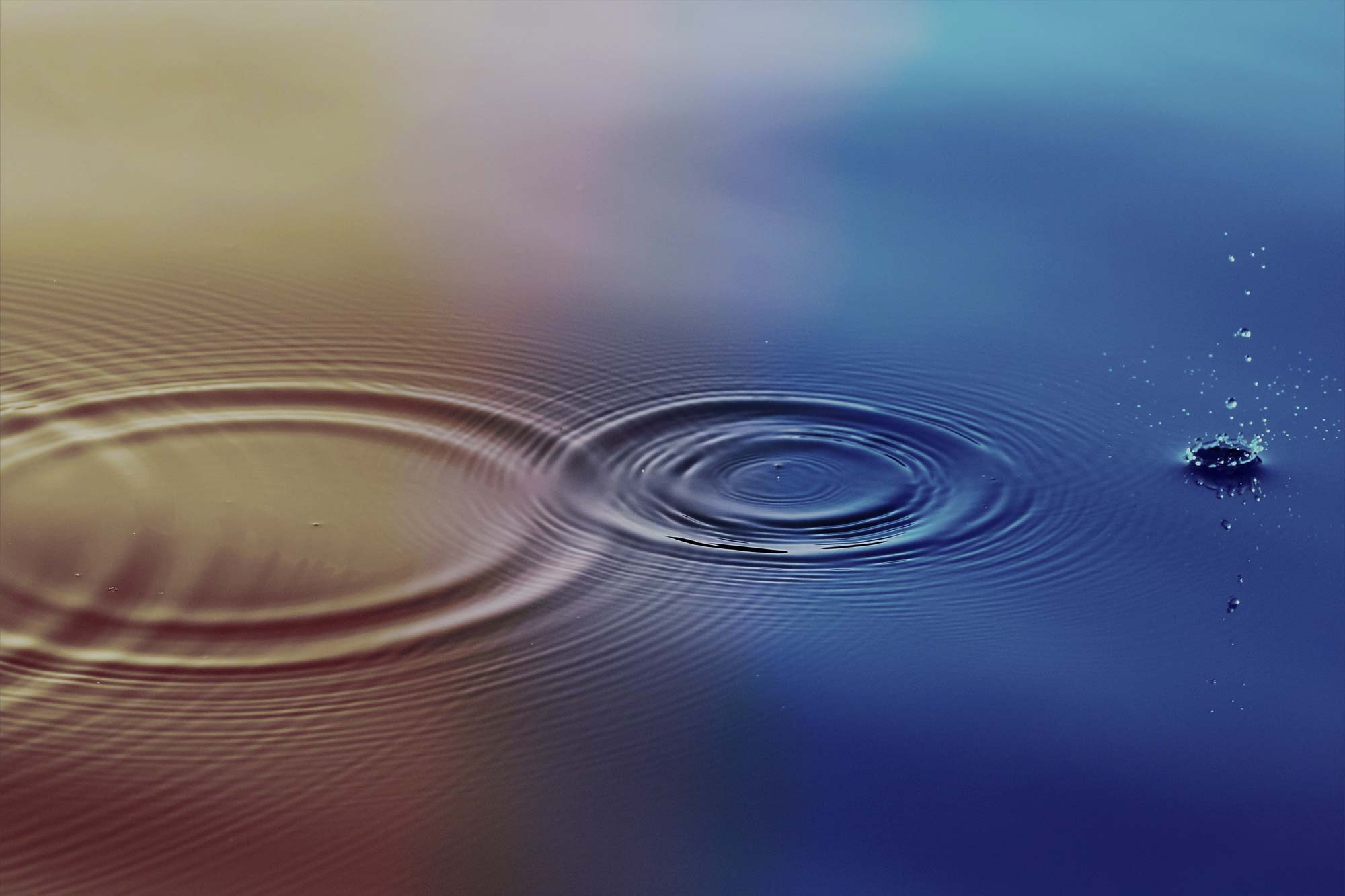 AVDIS · Maintenance